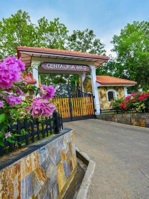 Centauria Wild - Centauria Hotels